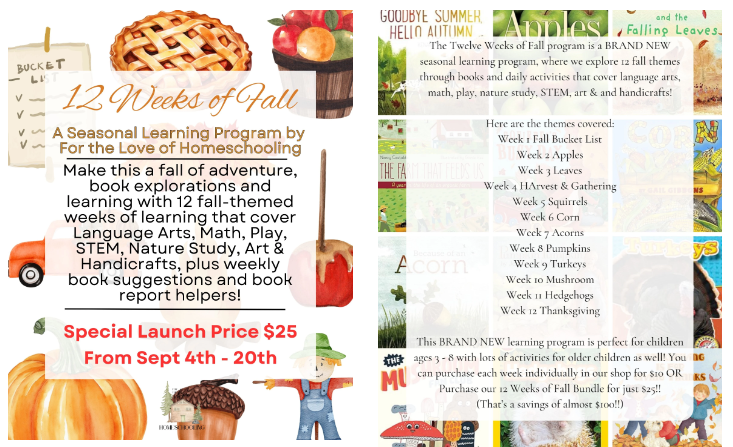 Limited Time: Fall Book Club BUNDLE! - The Art Kit